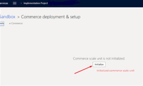 Retail Commerce Scale Unit RCSU Is Initialized Within LCS To Perform For D FO