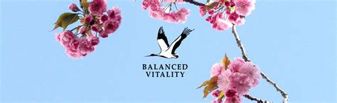Balanced Vitality Biotin Zink And Selen Deine Haar Vitamine Im