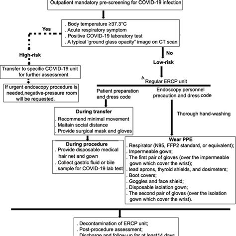 Patient Management And Risk Assessment And Detailed Workflow During Download Scientific Diagram