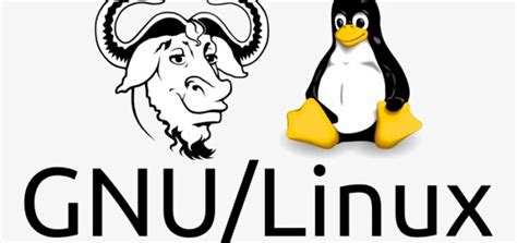 Ferenz Networks Blog