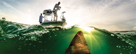 Dual Spectrum Chirp Sonar Humminbird