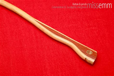 Unique Bdsm Toys Discipline Cane By Australian Kink Artisan Miss Emm