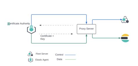 Fleet Managed Elastic Agent Connectivity Using A Proxy Server Fleet