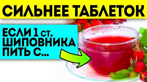 Что творит шиповник с кровью сосудами мозгом ЖКТ и даже Youtube