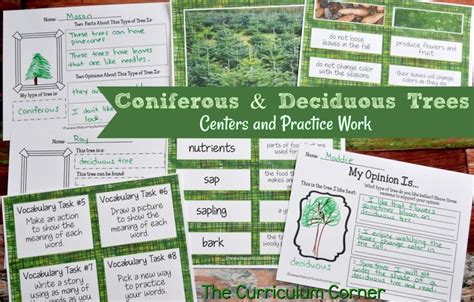 Coniferous And Deciduous Trees The Curriculum Corner 4 5 6