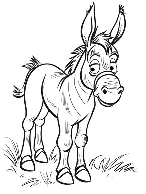 ارنب صفحات تلوين