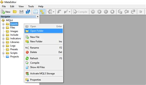 Setup Process Forex Automated Trading Systems