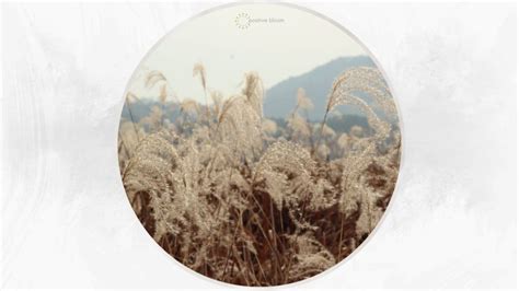 How To Grow And Care For The Lovely Flame Grass