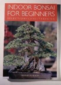 How To Start A Bonsai Tree For Beginners