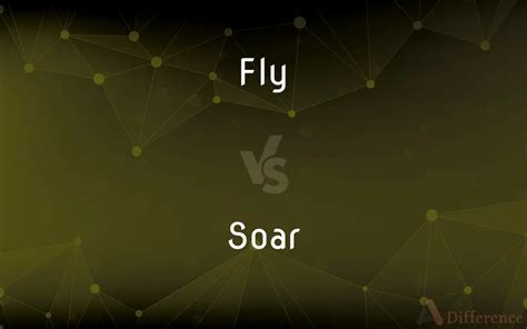 Fly Vs Soar — Whats The Difference