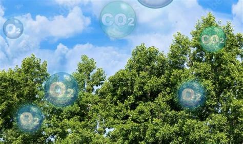 Sebenarnya Udara Itu Terbuat Dari Apa Okezone Techno