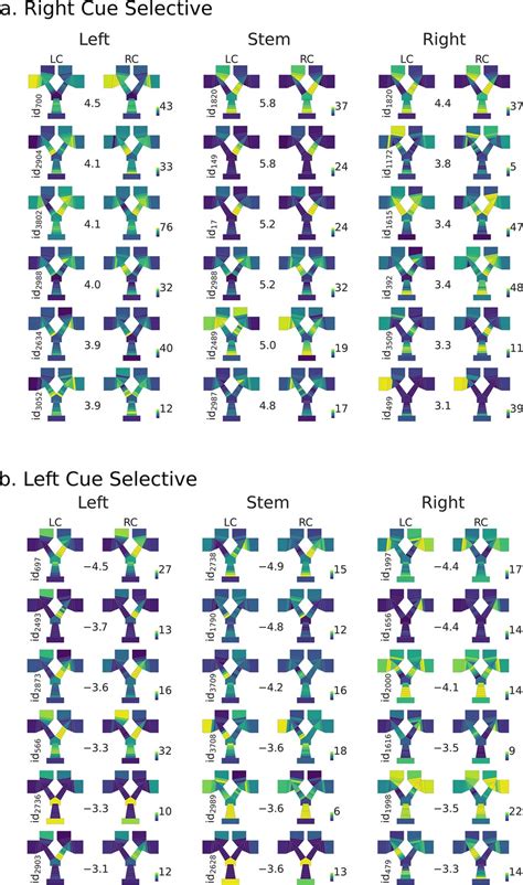 Figures And Data In Parahippocampal Neurons Encode Task Relevant Information For Goal Directed