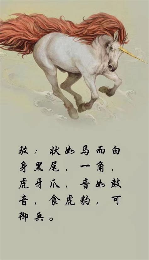 山海經中的十大神獸 每日頭條