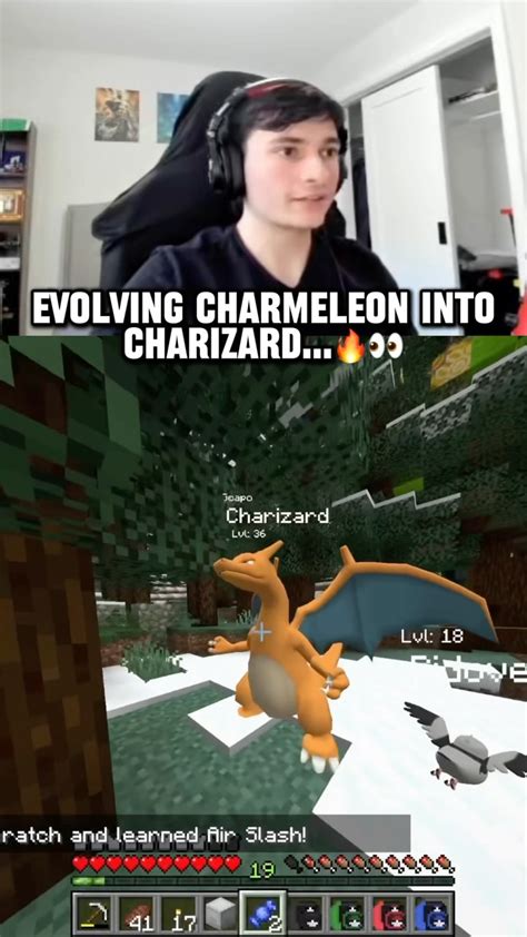 Charizard Cobblemon