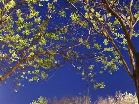 箴言分享：最高境界書城原创40281672022年05月11日微头条 今日头条