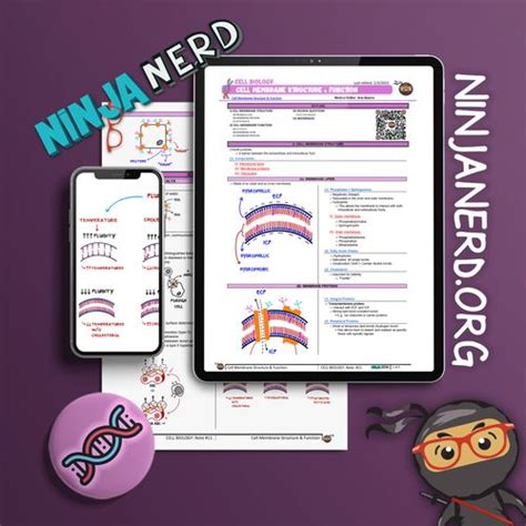 Cell Membrane Structure Function Notes NinjaNerd Medicine