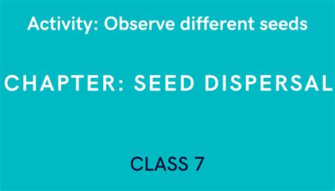 Observe Different Seeds In Seed Dispersal Class 7 Science Experiment