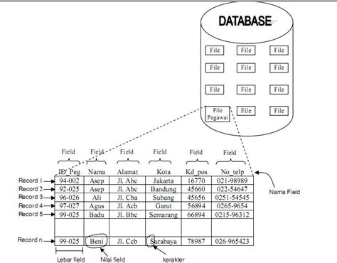 Jenjang Data Pada Database
