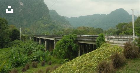 무성한 녹색 언덕 위의 다리 위를 여행하는 기차 사진 Unsplash의 무료 카오속 국립공원 이미지