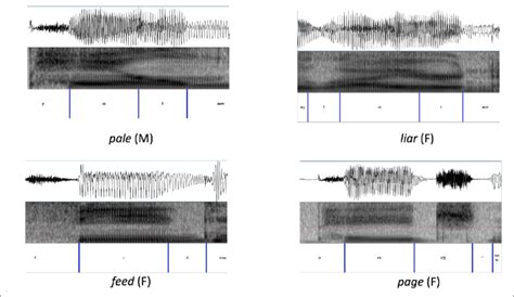 Labeled Waveforms And Spectrograms For The Words Pale Liar Feed Page