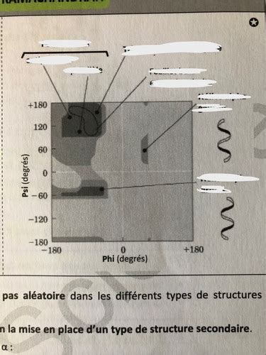Structure Des Protéines Cartes Quizlet
