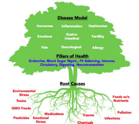 Tree Disease Model Orig Hormone Replacement Functional Medicine Weston Miami Fl