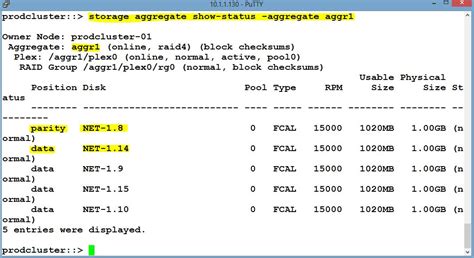 Remote Infrastructure Management Ontap 9 Disk Management