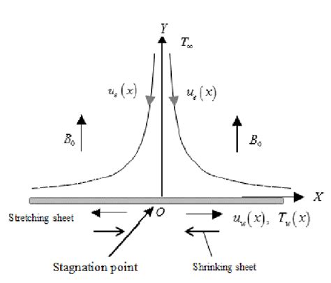 Physical Model Of The Analysis Download Scientific Diagram