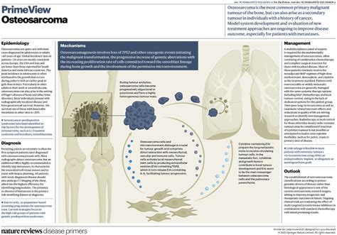 Osteosarcoma Nature Reviews Disease Primers