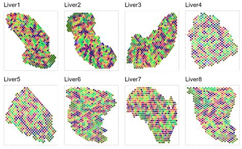 Introduction To Srt Integration • Srtpipeline