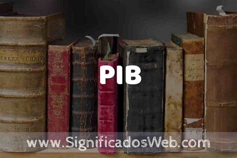 Definición De Pib Que Es 5 Ejemplos Tipos Y Para Que Sirve Sinónimo Y Significado