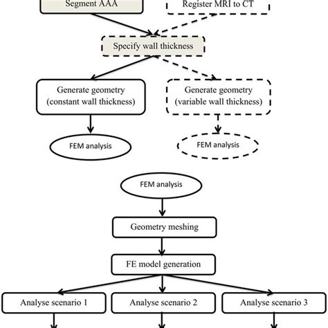 Diagram Of The Workflow Only Segmentation And Wall Thickness