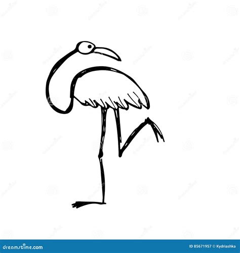 Flamingo Sketch For Your Design Stock Vector Illustration Of Abstract Plant