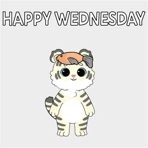 100 Hilarious Happy Funny Wednesday S Dreams Quote