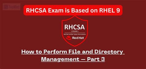 How To Perform File And Directory Management Part 3 Florin Lungu