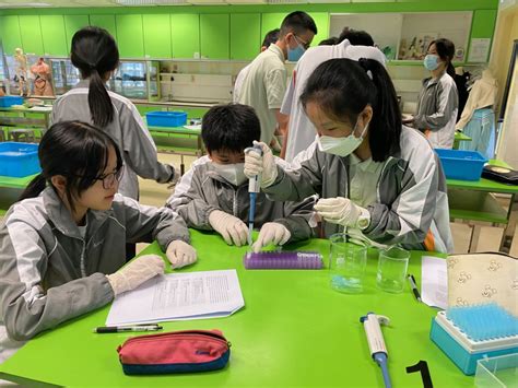 Interdisciplinary Stem Project Based Learning In Synthetic Biology