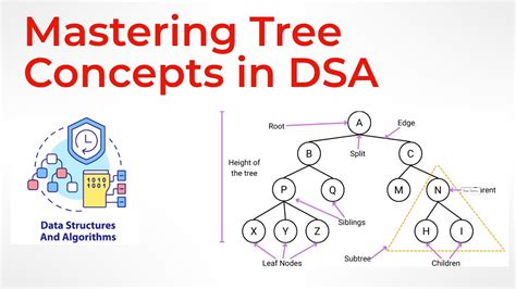 Tree Data Structures Explained Complete Guide Youtube