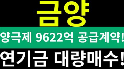 금양 긴급 양극제 9622억 공급 계약 연기금 대량 매수 2차전지배터리테슬라신재생4695금양주식엔솔양산투자2차구간계약양극제4680양극제