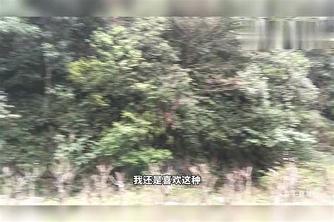 中国落差最大的瀑布实拍湖南湘西流纱瀑布山顶而下壮观震撼