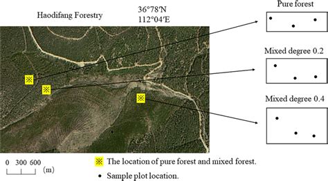 The Map Of The Sample Location Download Scientific Diagram
