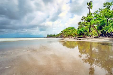 Manzanilla Beach Trinidad Photograph By Nadia Sanowar Fine Art America