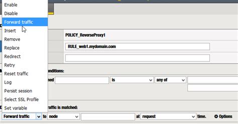 F BIGIP Name Based Reverse Proxy LTM Policies