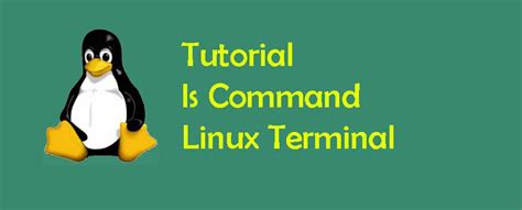Perintah Ls Di Linux Terminal Dan Contoh Penggunaan Linuxid