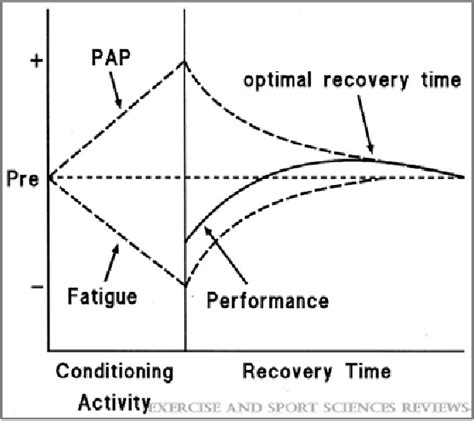 Figure 1 From The Effects Of Dynamic Versus Isometric Postactivation