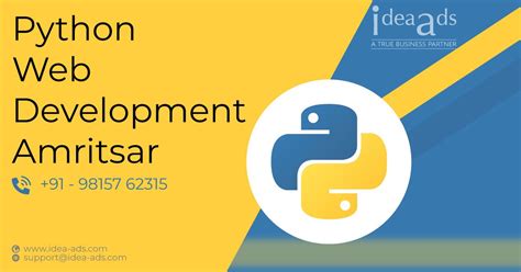 Top Python Web Development Company In Amritsar Web Designing Seo Smo Services Amritsar Posted