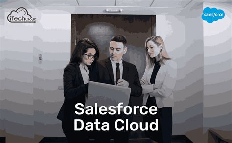 Salesforce Data Cloud Ezine Articles