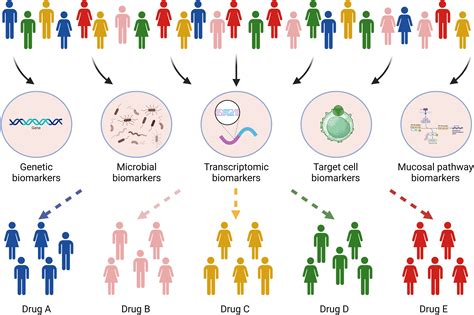 Biomarkers For Personalizing Ibd Therapy The Quest Continues