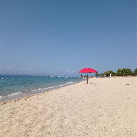 Скрачи On Twitter Јас како уметник Remmnzbmmt Twitter