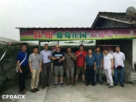 眉山市彭山区胖哥葡萄家庭农场 种养殖业 中食药监管信息查询平台
