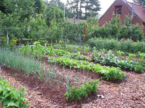Traditional Row Vegetable Garden Layout Seryautos